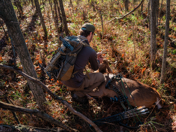 Collections – Kifaru Intl